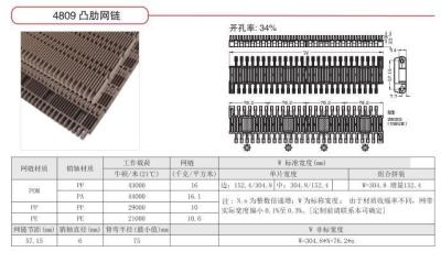 Cina Produttori cinesi cintura modulare a griglia di scarico 4809 passo 57,15 mm vendita in vendita