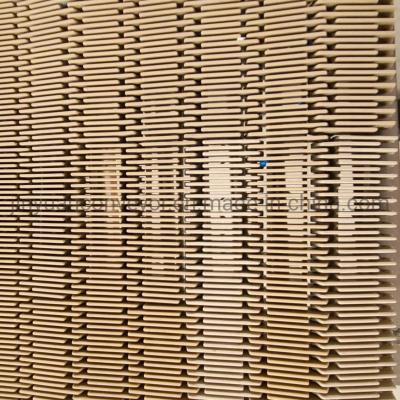 中国 4809 シリーズ ピッチ 57.15mm 浮き Rib プラスチック モジュラルのベルト 販売のため
