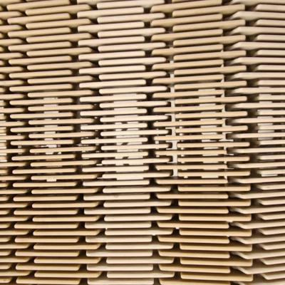 Cina 4809 Serie Pitch 57,15 mm Cintura modulare di plastica per bottiglie in vendita