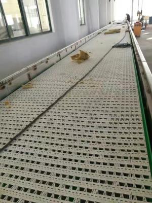 China Sistema de transporte de correia modular de qualidade alimentar à venda