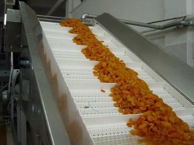 Cina Convogliere a cintura di plastica in PVC di grado alimentare piatto/curvo per la trasmissione di imballaggi in vendita