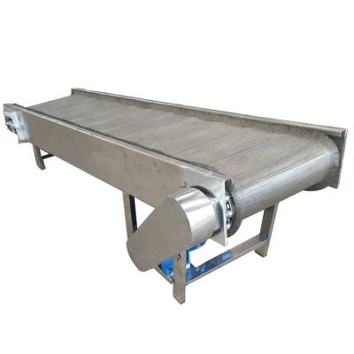 Cina Industria alimentare Acciaio inossidabile Flat Balance Conveyor Belt di cioccolato con prezzo a catena in vendita