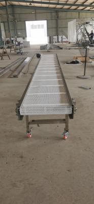 Cina La larghezza regolabile del frantumatore di plastica Trinciatore di utilizzo Trasferimento Verde PVC cintura trasportatrice in vendita