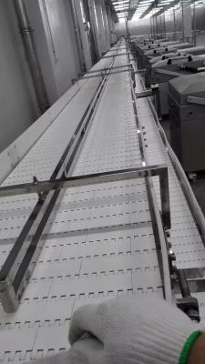 China Logística Armazém Cadeia transportadora de cadeia plana de manuseio Cinturão transportador à venda