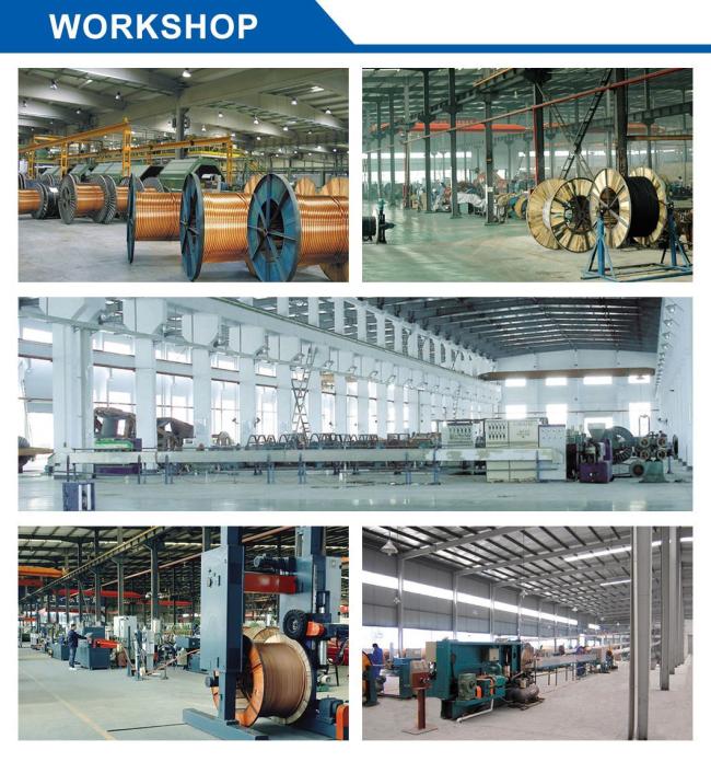 Professional Grade XLPE Insulated Power Cable for Commercial Buildings