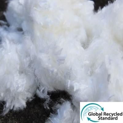 China Halb Jungfrau-Höhle konjugierte Polyester-Spinnfaser 20D für Bettwäsche zu verkaufen