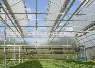 Cina Progettazione prefabbricata commerciale della costruzione delle strutture d'acciaio nessuna ruggine in vendita