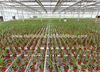 Cina Fabbricati rurali multifunzionali e professionista delle strutture su misura in vendita
