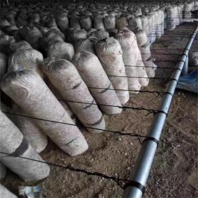 Chine fil de polyester de serre chaude de 2.6mm ombrageant l'appui net dans des vergers de vignobles à vendre