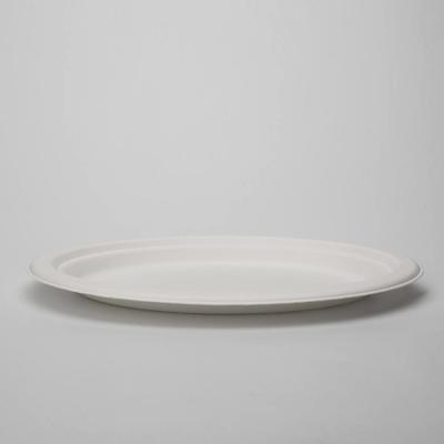 Cina Non contenenti PFAS Disponible Eco-friendly Sugarcane Bagasse Large Oval Pulp Plates in vendita