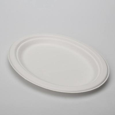 Cina Non contenenti PFAS Disponible Eco-friendly Sugarcane Bagasse Large Oval Pulp Plates in vendita
