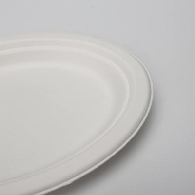 Cina Non contenenti PFAS Disponible Eco-friendly Sugarcane Bagasse Large Oval Pulp Plates in vendita