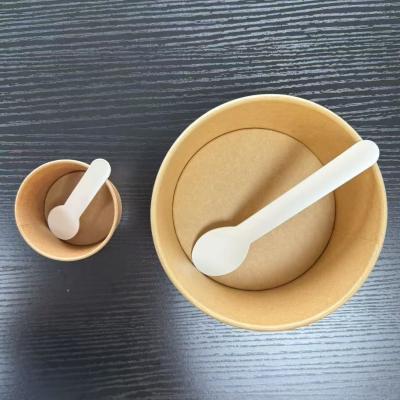 中国 EcoSmooth 使い捨て BioStrong Flexi-Lite 防漏 GreenBite 丈夫な紙スプーン カスタマイズ可能な色とデザイン 販売のため