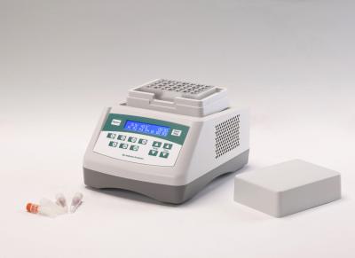 Cina Incubatore di indicatori biologici AC220V con calibrazione della temperatura e pre riscaldamento automatico in vendita