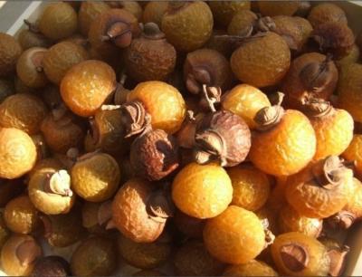 China Soapberry Extract, Soap Nut Extract, Soapnut Saponin, Sapindus Extract for sale