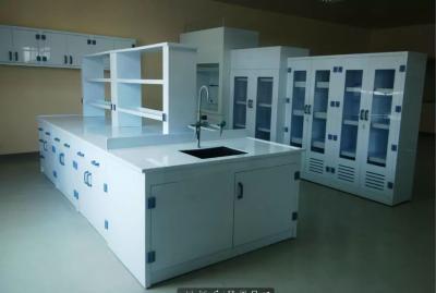 Cina La mobilia resistente ad alta temperatura pp del laboratorio di scienza non struttura rumore in vendita