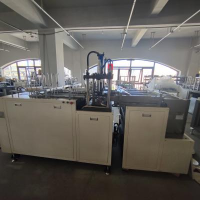 중국 Disposable Lunch Box Carton Machine Hot Melt Adhesive Process 판매용