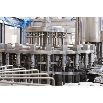 Cina volume regolabile della macchina di rifornimento calda automatica del succo del litchi 4000B/H in vendita