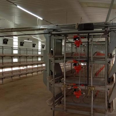 China 1950*350*380mm Poultry Laying Cage for Poultry Farm Advanced Technology for sale