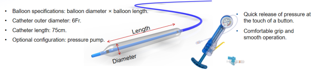Hydrophilic Ureteral Dilatation Balloon medical device