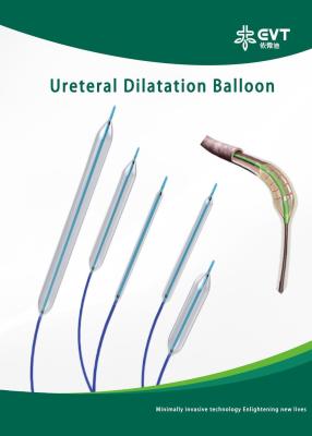 China Hydrophilic Ureteral Dilatation Balloon Low Friction Insertion Via URL With Pressure Gauge Inflation Device for sale