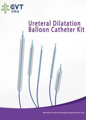 China NMPA Cleared Ureteral Dilation Balloon Sterile Single Use With Hydrophilic Coating for sale