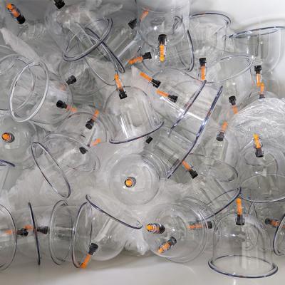 Cina 500 MIX Ventosas Hijama 8 Tazze con pompa utensili Disposable Cupping Therapy Tazze in vendita