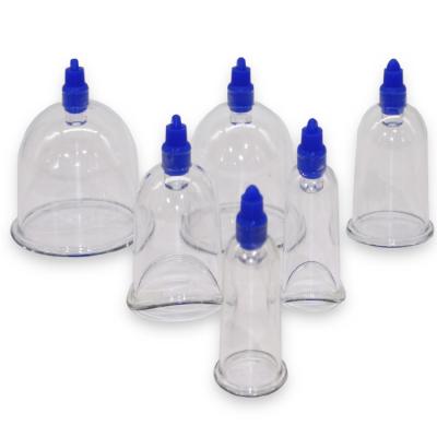 China Conjunto de copos de acupuntura chinês profissional transparente para esterilização e massagem à venda