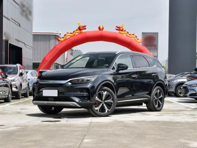 Cina Byd Tang New Energy Vehicles 2024 EV Glory Edition Dragon Face Design in vendita