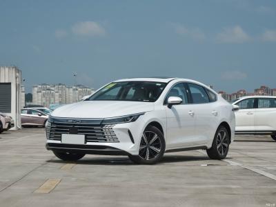 Cina Zero Emissions BYD Energy Vehicles Empowering Your Business with Green Transportation in vendita