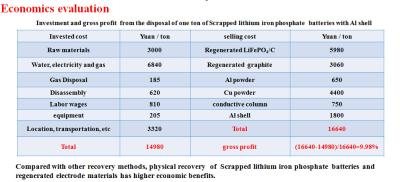 Cina Litio fisico Ion Battery Recycling Process Process nessun inquinamento per l'automobile in vendita
