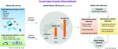 Cina Processo di idrometallurgia di Ion Battery Recycle Tech Consultancy del litio in vendita