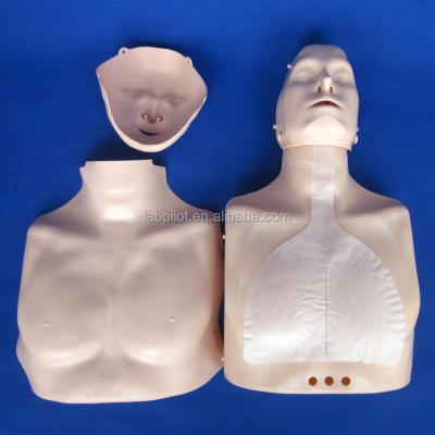중국 반 몸 CPR 훈련 인형 당신의 긴급 기술 교육에 완벽한 추가 판매용