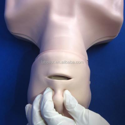 중국 반 몸 CPR 훈련 인형 당신의 긴급 기술 교육에 완벽한 추가 판매용