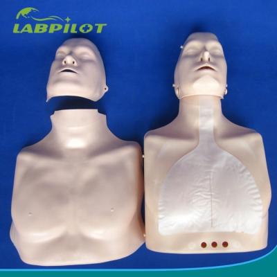 중국 간단한 유형 첫 구호 반 몸 CPR 훈련 학교 교육 시설을 위한 마니킨 판매용
