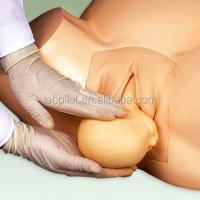 Quality Advanced PVC Manikin Pregnancy Childbirth Simulator for Vacuum Extraction Training for sale