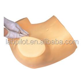 Women's Health Education GYN Examination Training Simulator with Advanced PVC