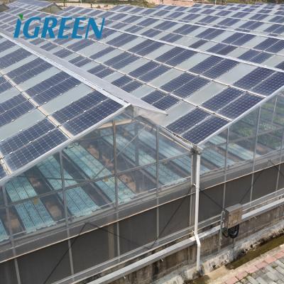 China Solar Gray Polycarbonate Sheet Greenhouse For Aquaponics Farming System for sale