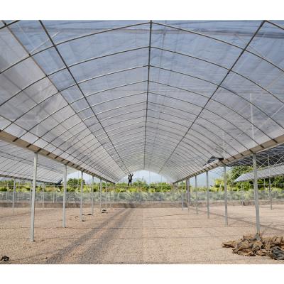 China Grande Estufa Multi-Span Estufa de película de plástico de 200 microns para vegetais e flores à venda