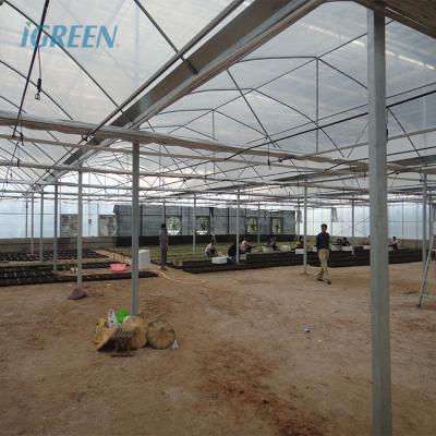 China Tipo de filme Estufa de túnel alto Personaliza-se para demandas de cultivo de flores à venda