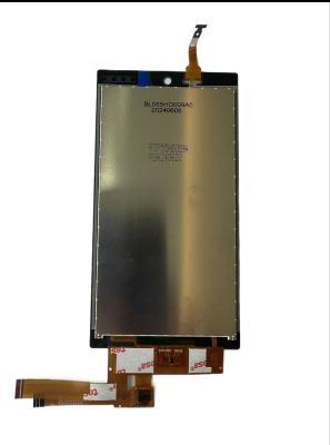 Fingerprint Doorlock TFT Capacitive Touch Screen LCD IPS Display 5.5Inch Custom