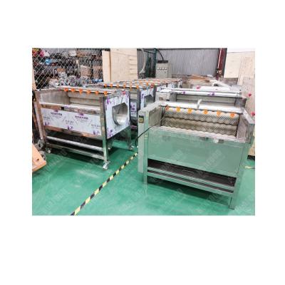 China Eco Friendly Walk Behind Floor Cleaning Machine Cheap for sale