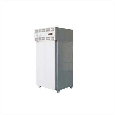 China Multifunctional Liquid Blast Freezer Shock Freezing 10 Trays Ss304 Blast Freezer For Wholesales for sale