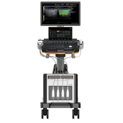Cina High end cardiac 4d color doppler ultrasound machine medical scan machine in vendita