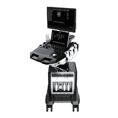 Cina LED Touch Screen 4D high end Cardiac Color Doppler ultrasound machine in vendita