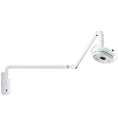 Cina Veterinary Clinic hospital medical equipment led surgical lights prices examination light in vendita