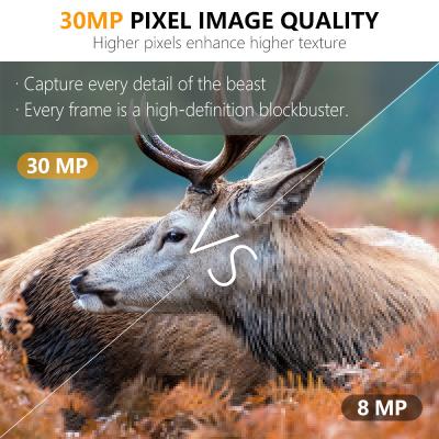 중국 KW696 야외 사냥카메라 듀얼 렌즈 30MP 반짝이는 빛 없는 트레일 카메라 1080p 야간 시력 512G 판매용