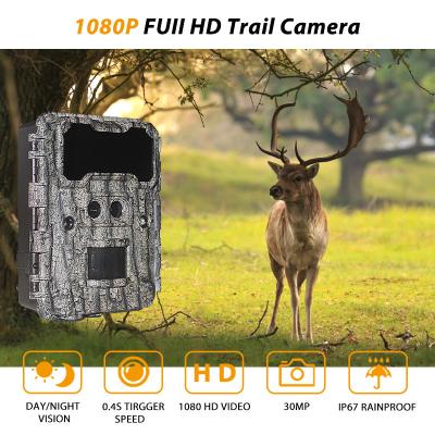 중국 야외 사냥 카메라 KW696 듀얼 렌즈 30MP 방수 IP67 1080p 야시 비전 최대 512GB 저장 장치 빛 없는 트레일 카메라 판매용