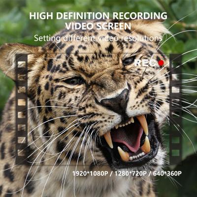 중국 야외 사냥 카메라 KW696 듀얼 렌즈 30MP 방수 IP67 1080p 야시 비전 최대 512GB 저장 장치 빛 없는 트레일 카메라 판매용