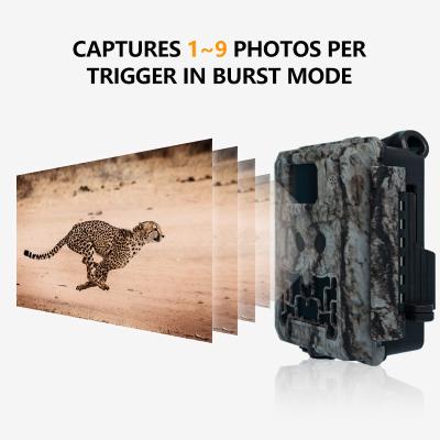 China Jachtcamera KW591 zonder gloed dubbele sensoren 1080P waterdicht IP67 0.4s trigger snelheid tot 512GB opslag Jachtcamera Te koop
